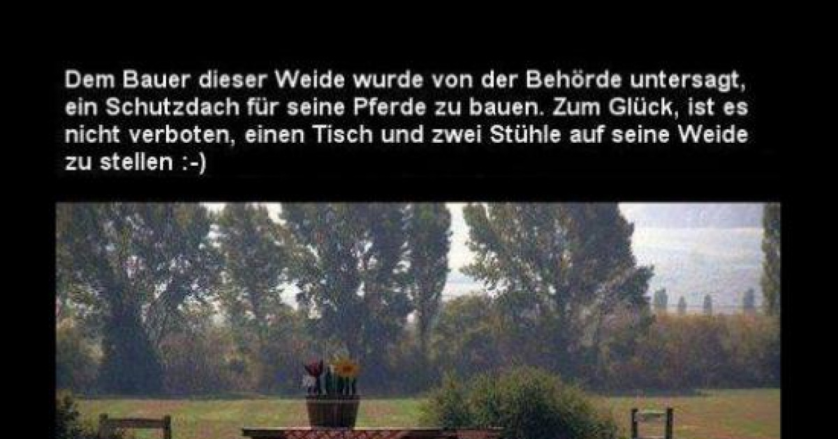 Neue Bilder und Memes - Bauer - lustig, kostenlos - DEBESTE.de