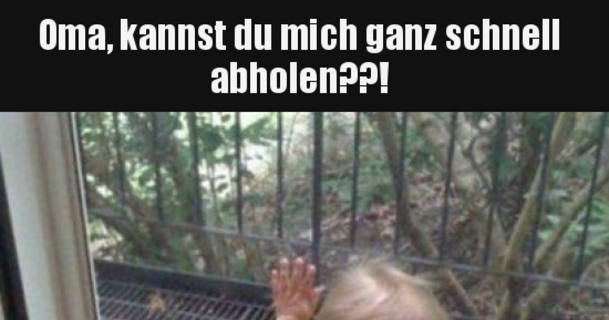 Ganz Schon Sturmisch Lustige Bilder