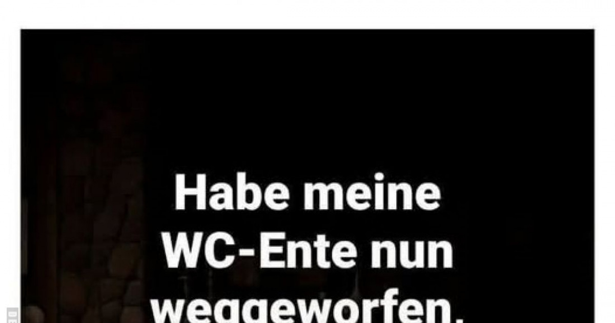 Neue Bilder und Memes - Ente - lustig, kostenlos - DEBESTE.de