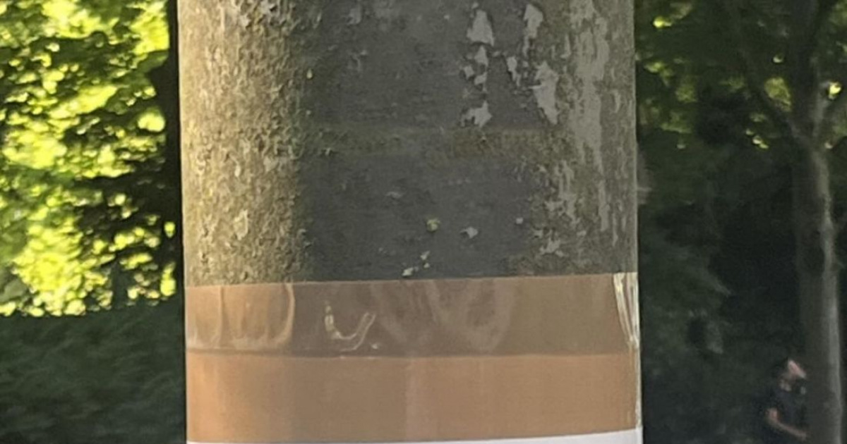 Neue Bilder und Memes - Juhu - lustig, kostenlos - DEBESTE.de