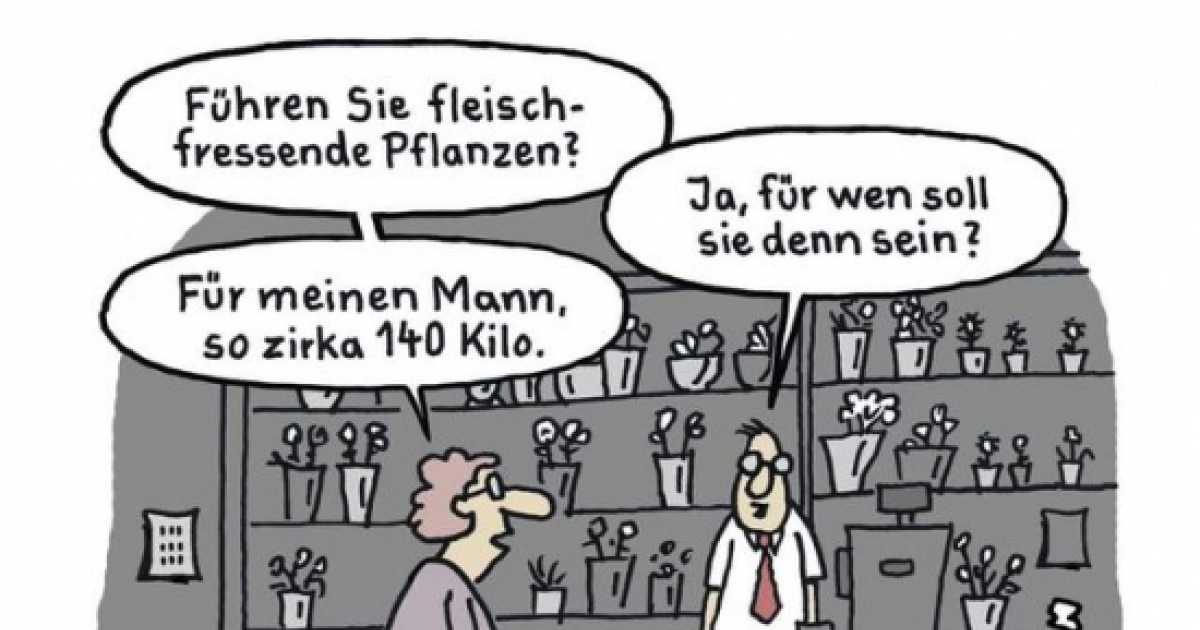 250 lustige Bilder Fressen - Seite (17) - DEBESTE.de