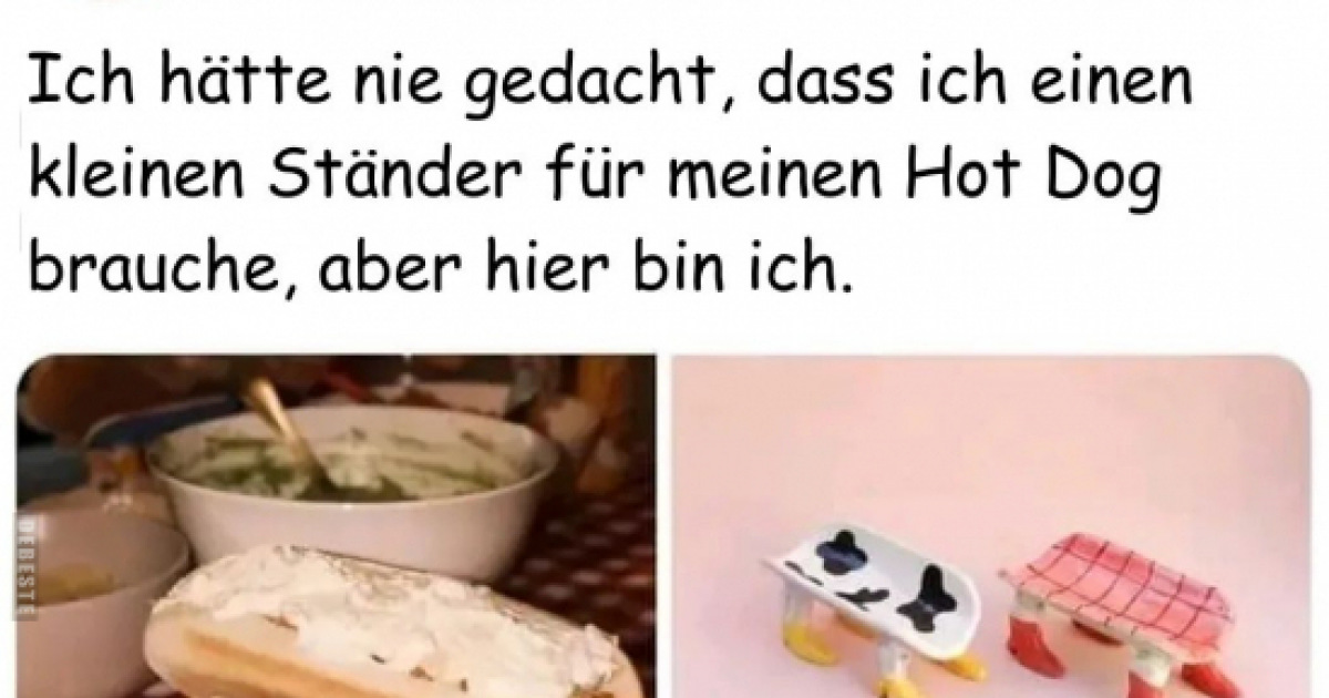 10 lustige Bilder Hot Dog - Seite (2) - DEBESTE.de