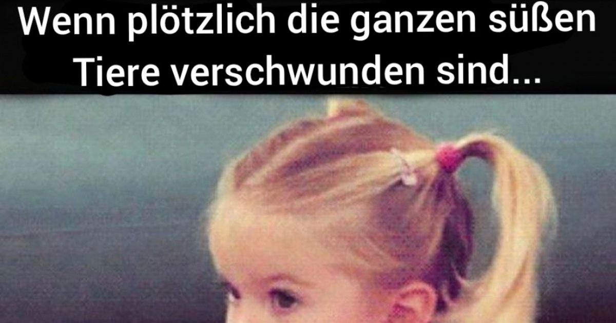 Neue Bilder und Memes - Gulasch - lustig, kostenlos - DEBESTE.de