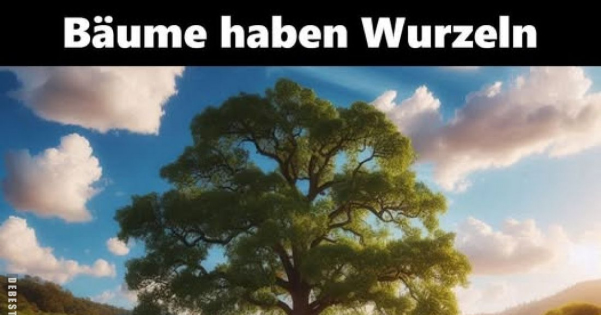 Neue Bilder und Memes - Bäume - lustig, kostenlos - DEBESTE.de