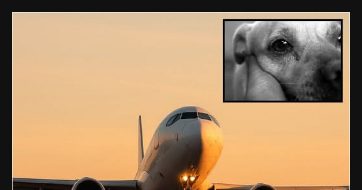 Neue Bilder und Memes - Erste Hilfe - lustig, kostenlos - DEBESTE.de