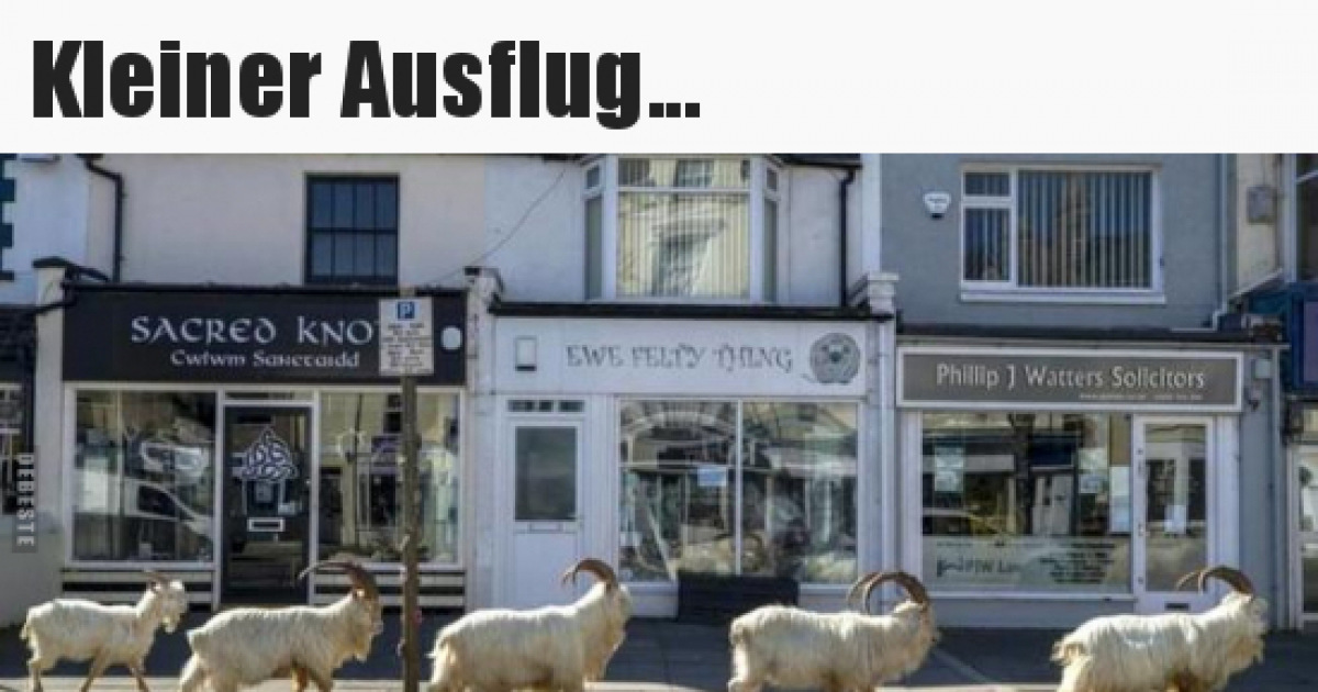 80 lustige Bilder Ausflug - Seite (7) - DEBESTE.de