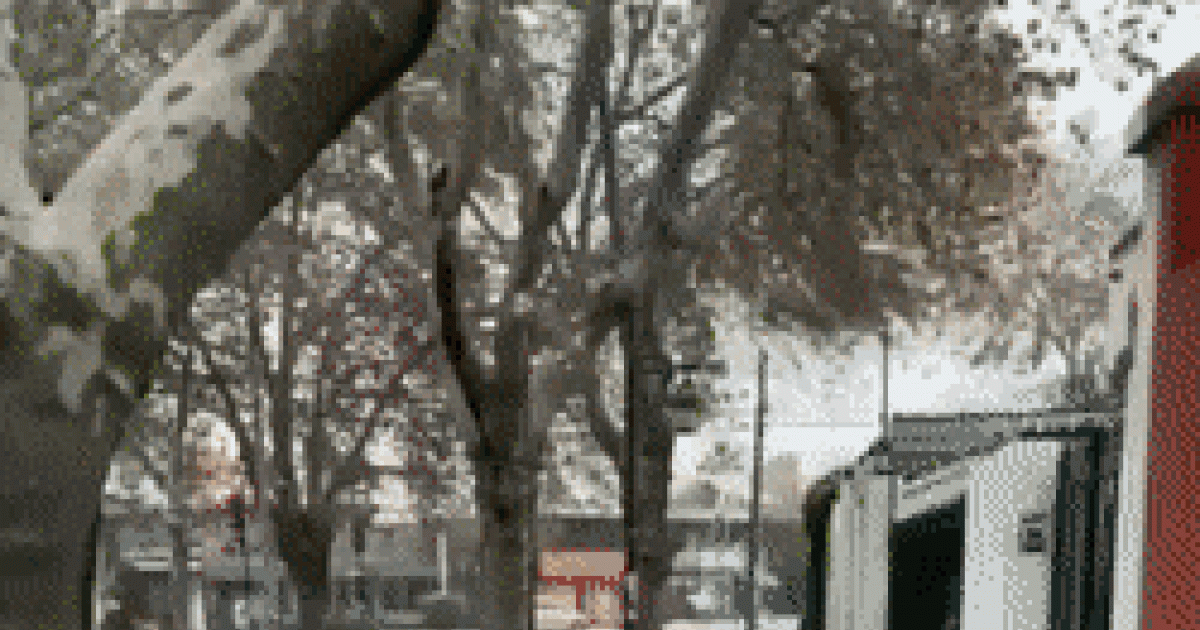 1680 lustige Bilder Gif - Seite (149) - DEBESTE.de