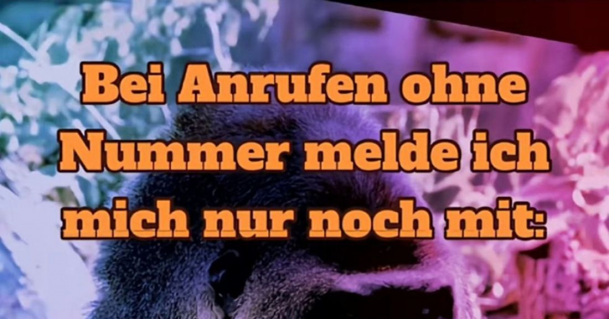 Neue Bilder und Memes - Anrufen - lustig, kostenlos - DEBESTE.de