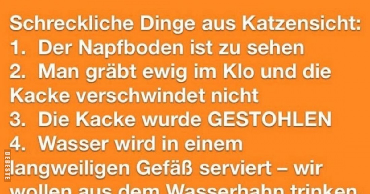 Neue Bilder und Memes - Hahn - lustig, kostenlos - DEBESTE.de