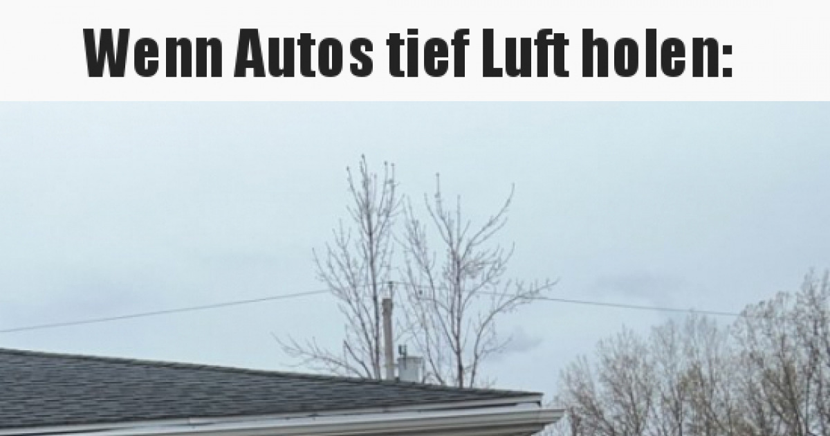 430 lustige Bilder Luft - Seite (35) - DEBESTE.de