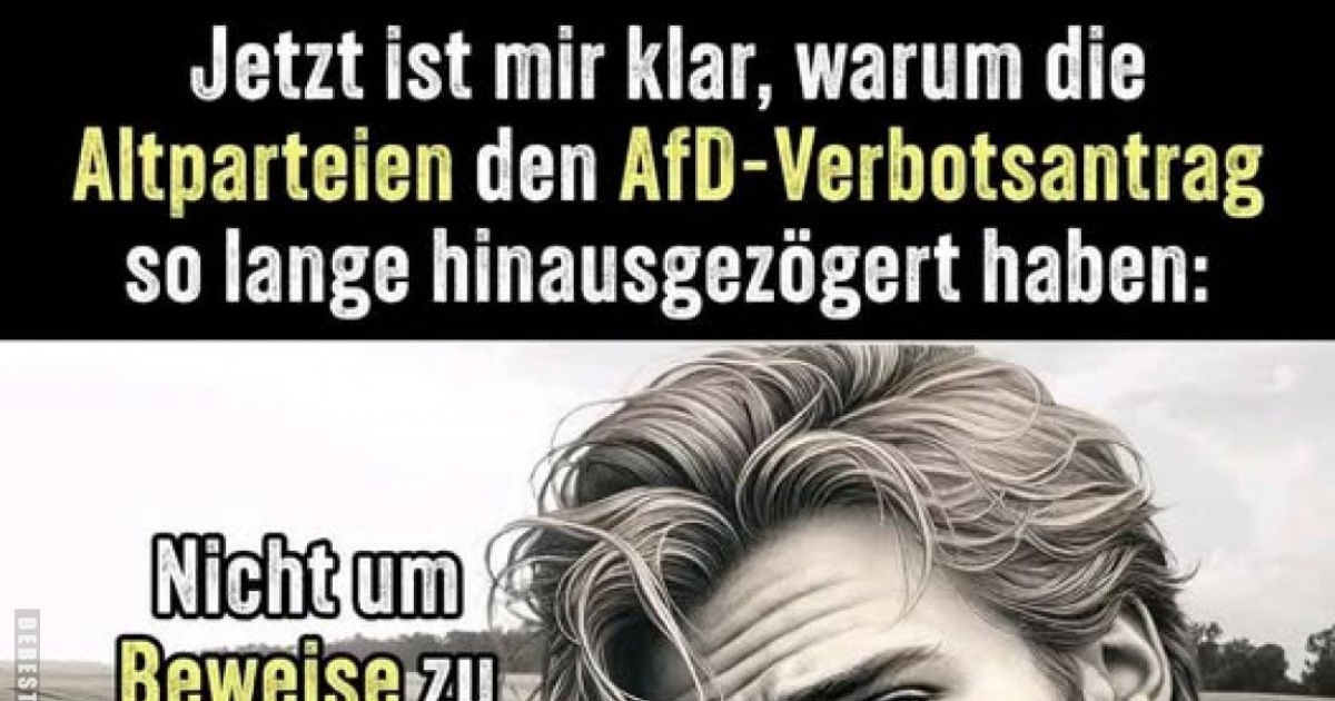 Neue Bilder und Memes - Afd - lustig, kostenlos - DEBESTE.de