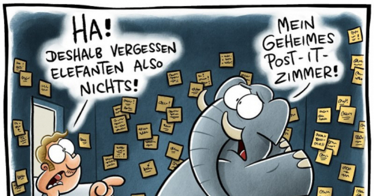 100 lustige Bilder Elefanten - Seite (10) - DEBESTE.de