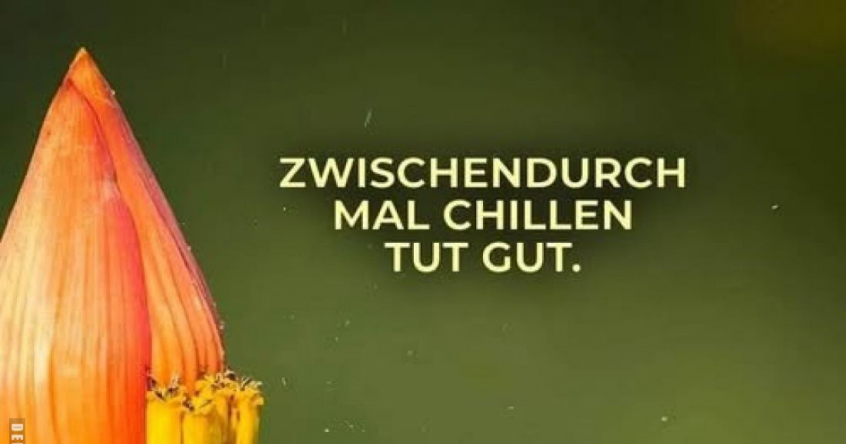 60+ lustige Bilder zum Thema Chillen