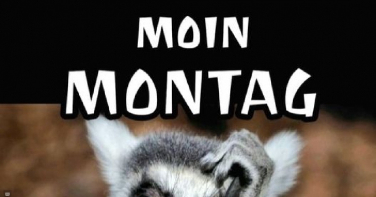 Neue Bilder und Memes - Moin Montag - lustig, kostenlos - DEBESTE.de