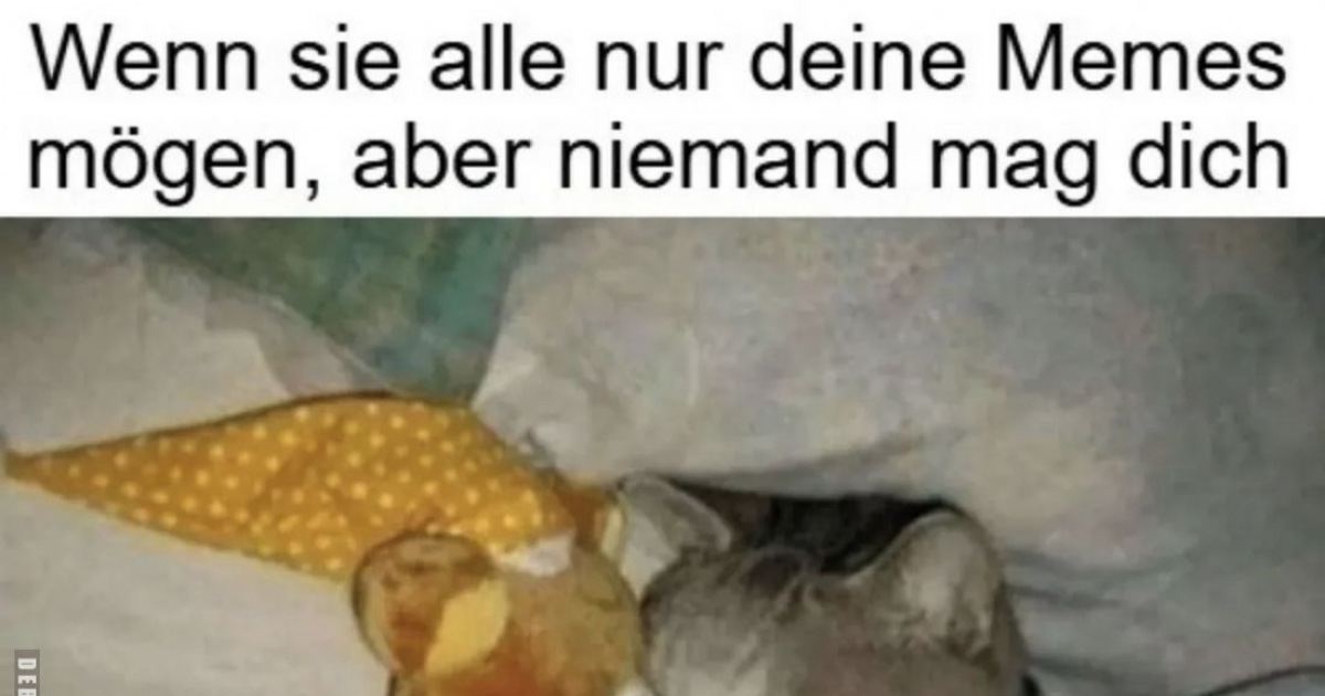 Neue Bilder und Memes - Memes - lustig, kostenlos - DEBESTE.de
