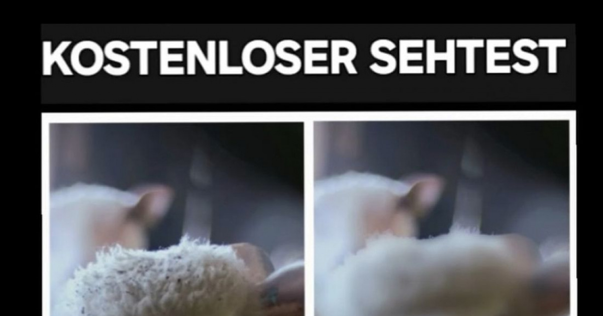 Neue Bilder und Memes - Sehtest - lustig, kostenlos - DEBESTE.de