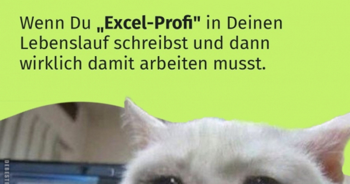 30 lustige Bilder Excel - Seite (4) - DEBESTE.de