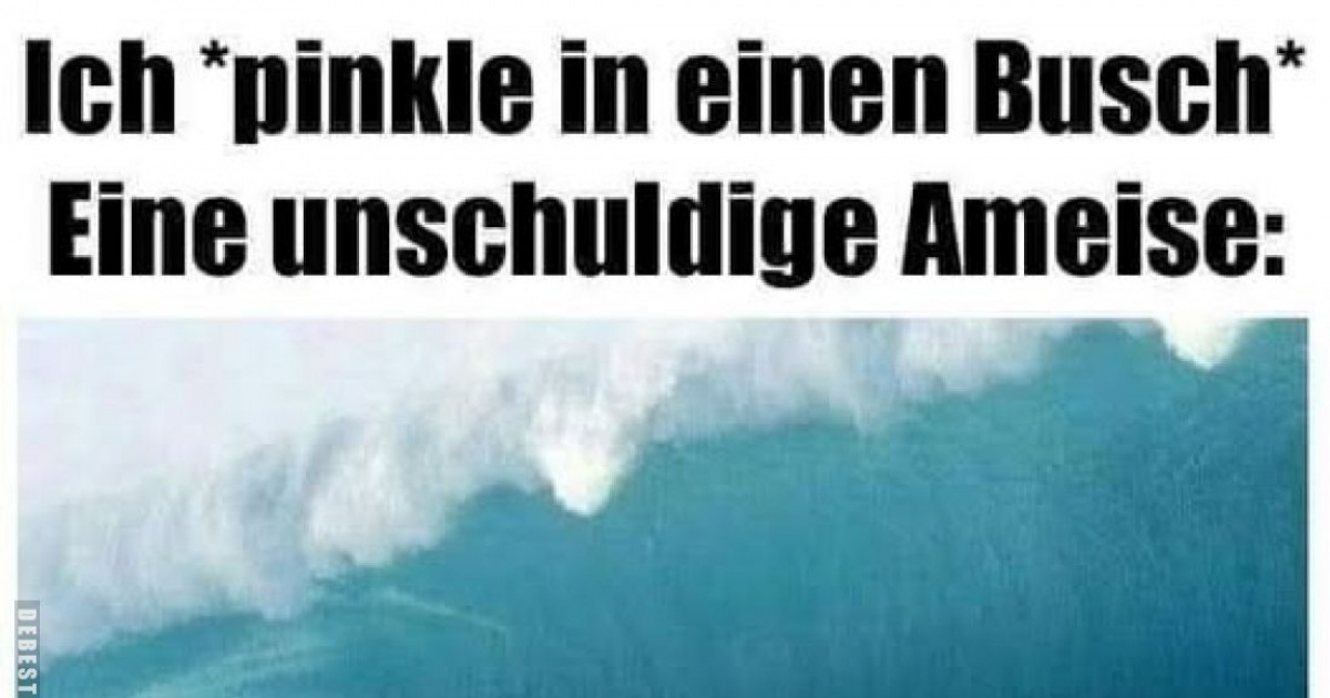 Neue Bilder und Memes - Unschuldig - lustig, kostenlos - DEBESTE.de