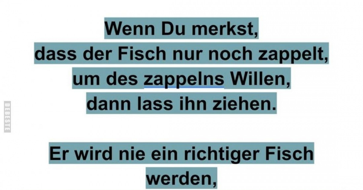 Neue Bilder und Memes - Fisch - lustig, kostenlos - DEBESTE.de