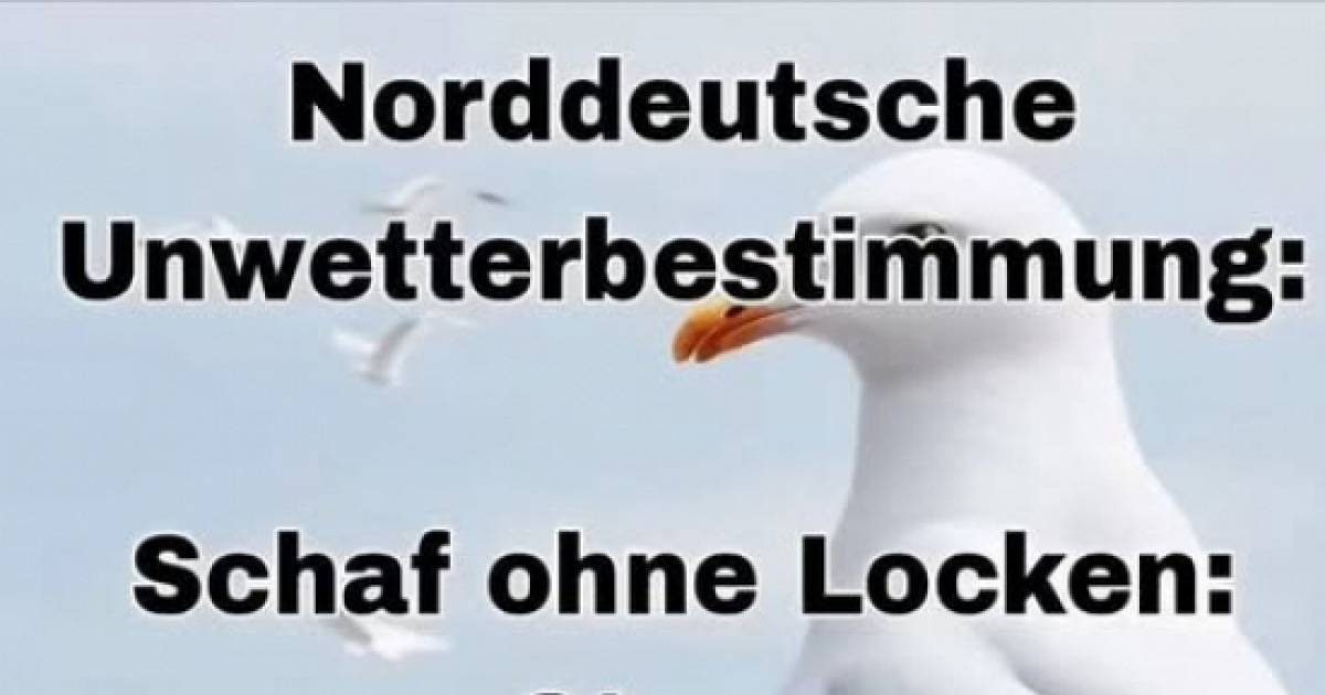 Neue Bilder und Memes - Locken - lustig, kostenlos - DEBESTE.de