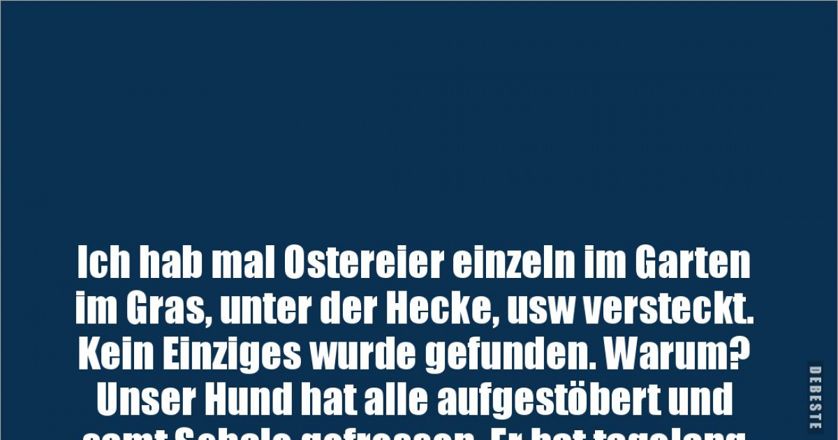 Neue Bilder und Memes - Bunte Eier - lustig, kostenlos - DEBESTE.de