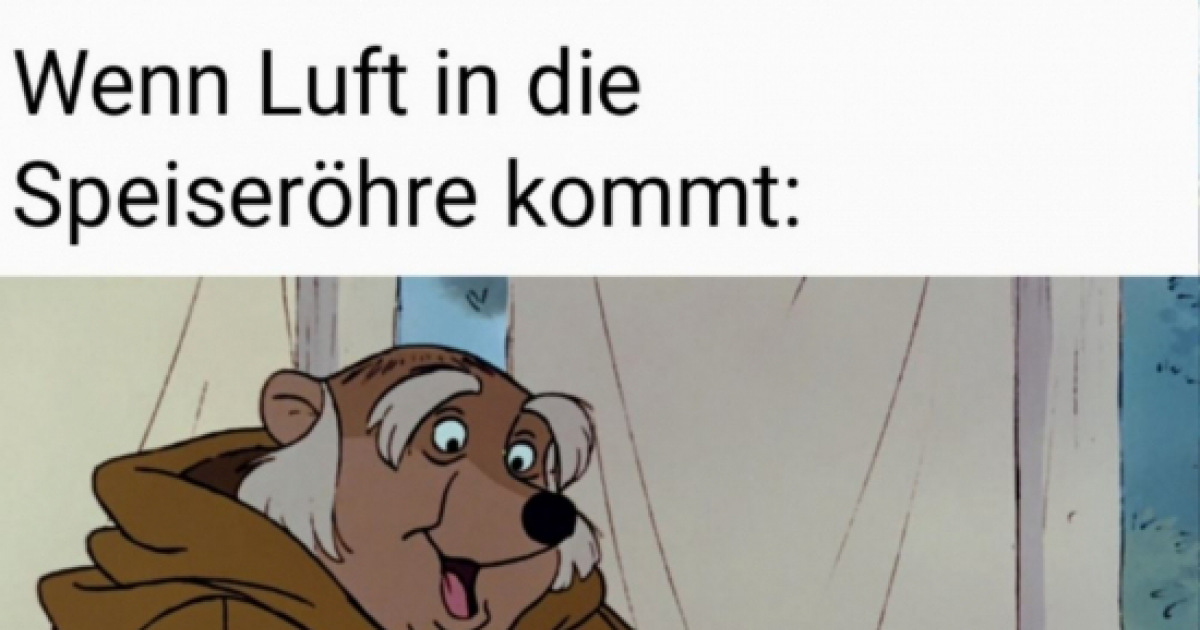 430 lustige Bilder Luft - Seite (44) - DEBESTE.de