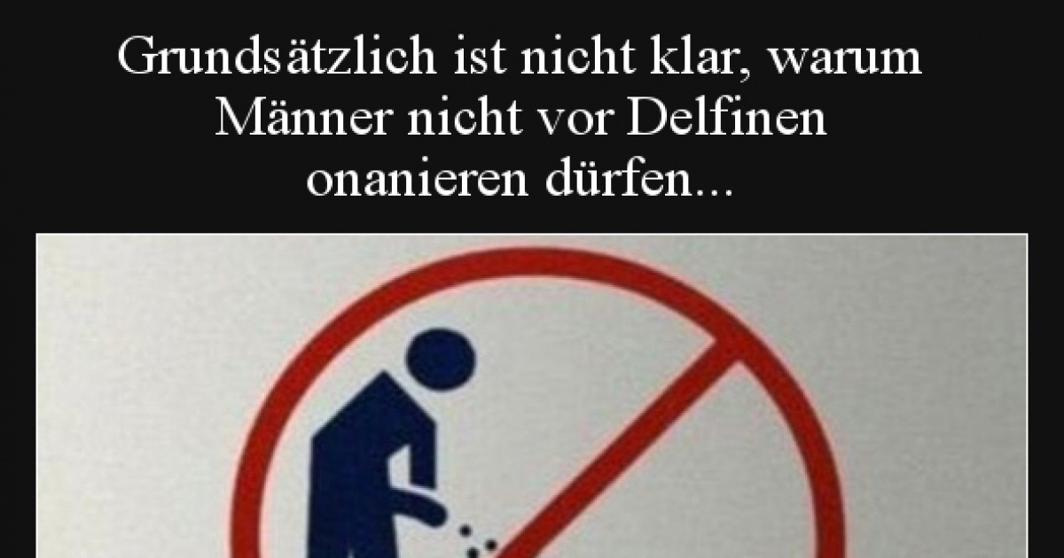 30 lustige Bilder Delfine - Seite (3) - DEBESTE.de
