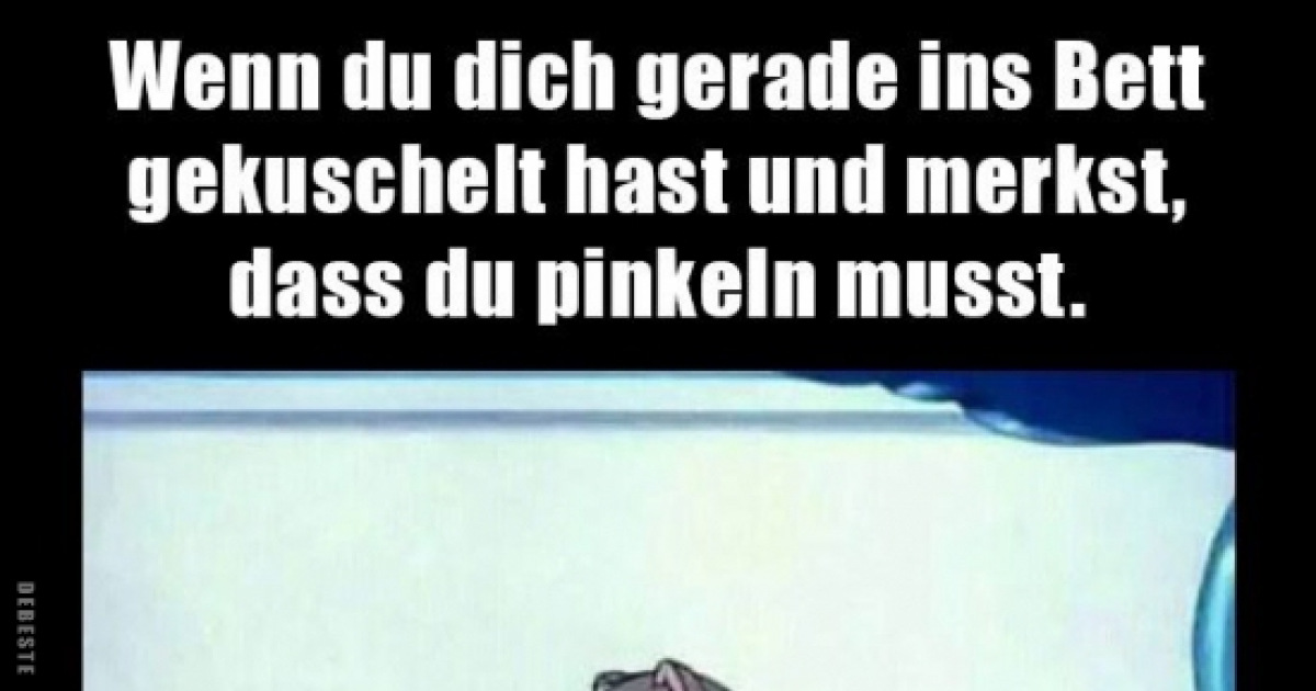 10 lustige Bilder Wenn Du - Seite (41) - DEBESTE.de