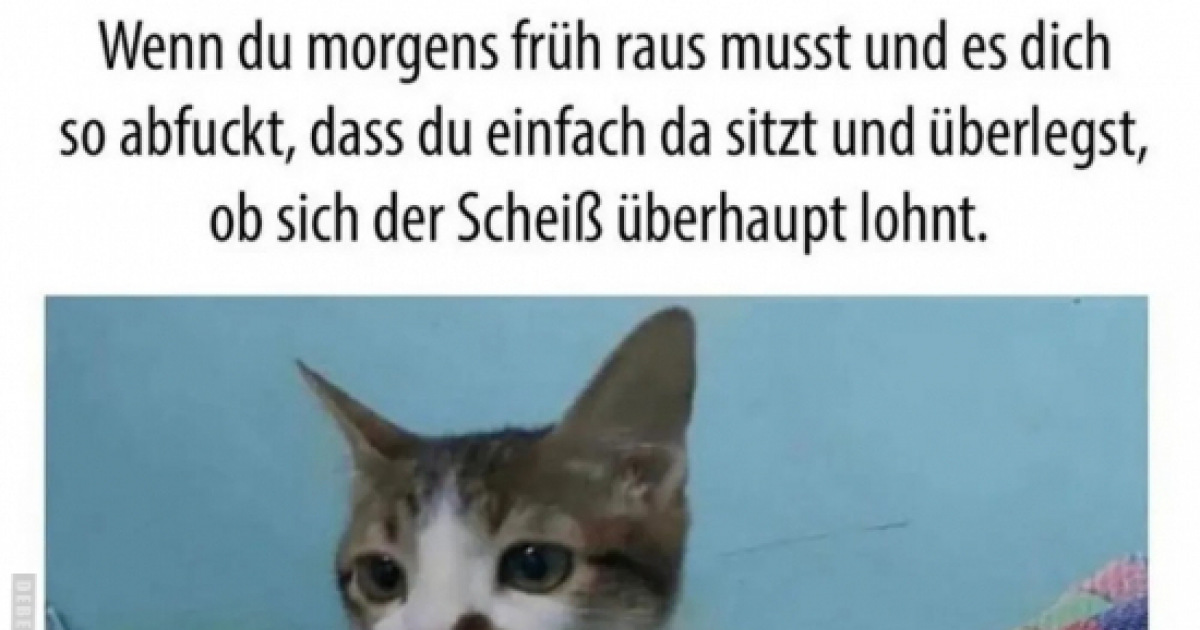 10 lustige Bilder Wenn Du - Seite (979) - DEBESTE.de