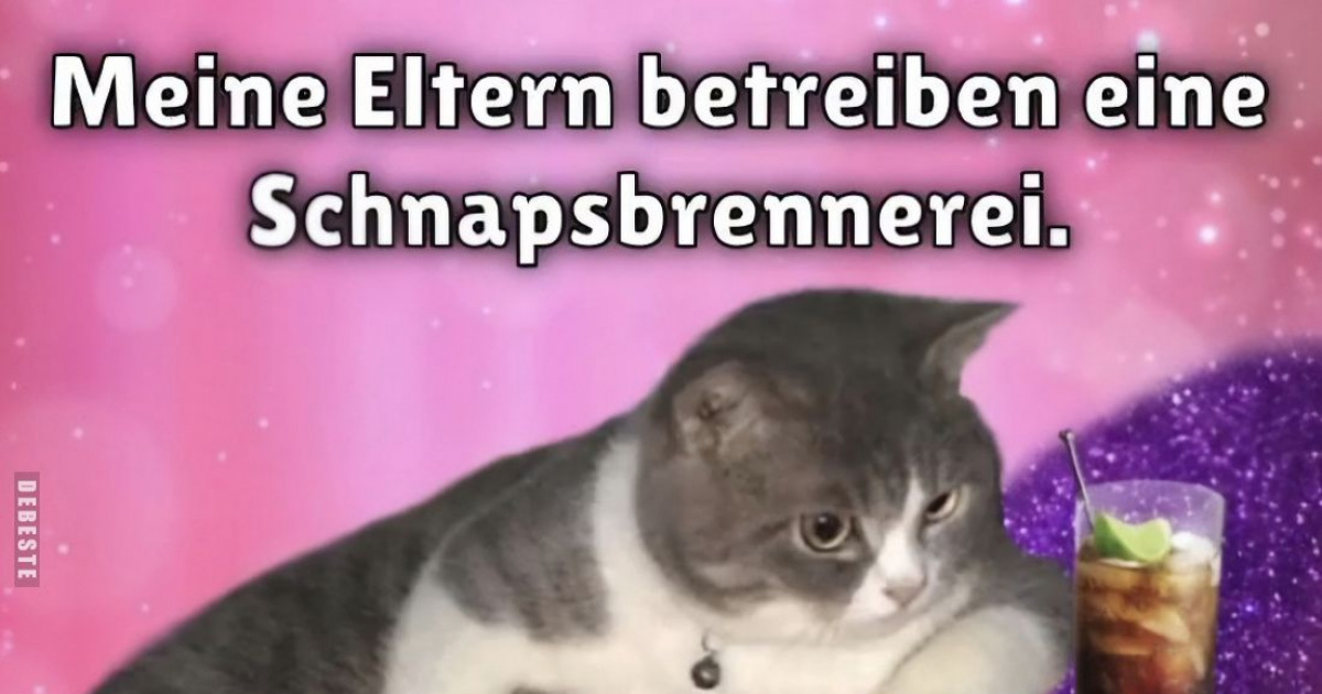 Neue Bilder und Memes - Rummachen - lustig, kostenlos - DEBESTE.de