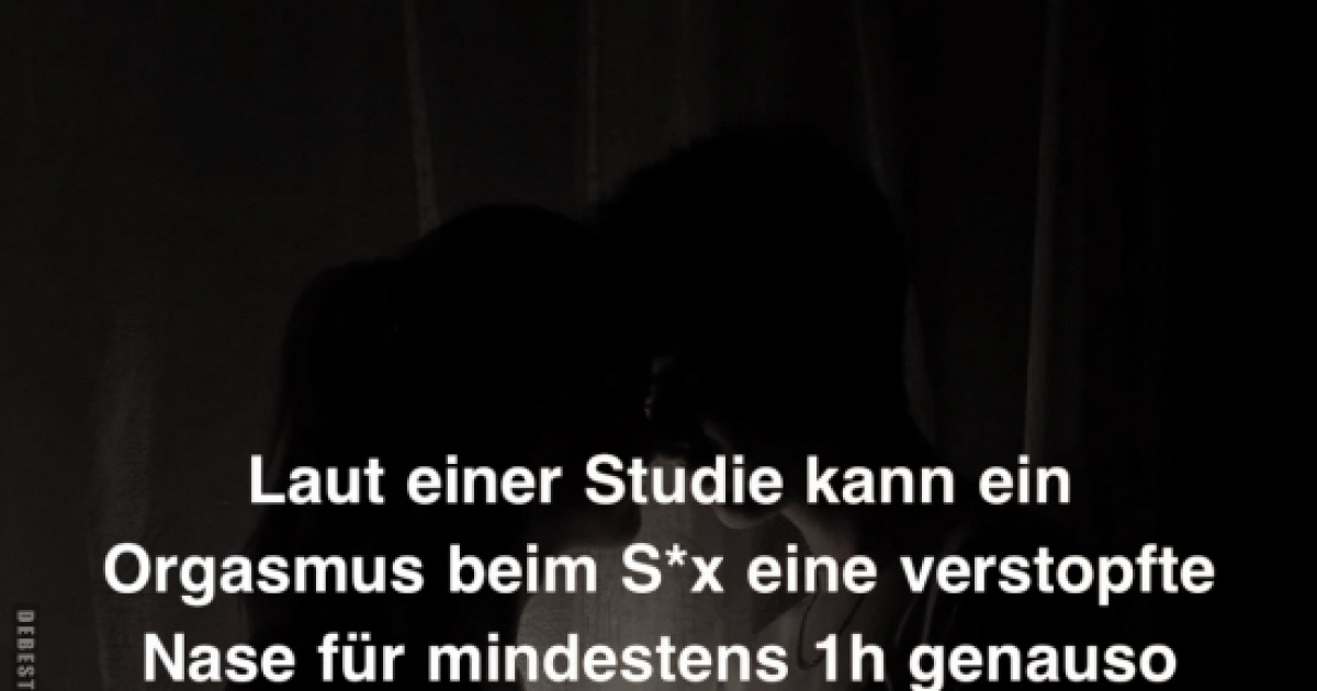 290 lustige Bilder Nase - Seite (11) - DEBESTE.de