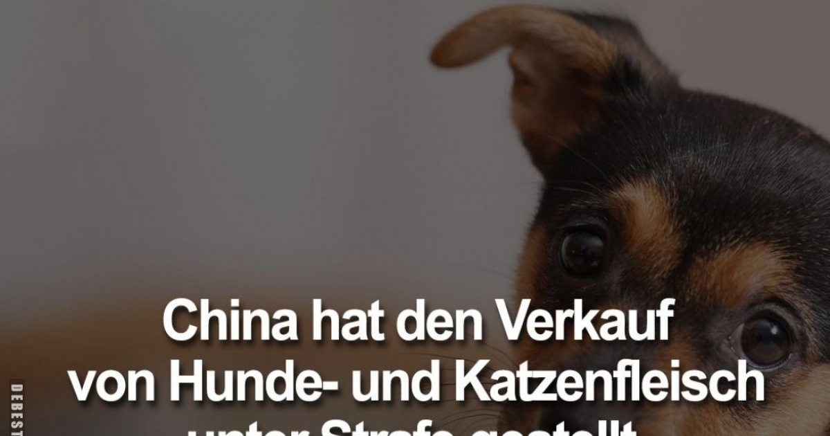 Neue Bilder und Memes - China - lustig, kostenlos - DEBESTE.de