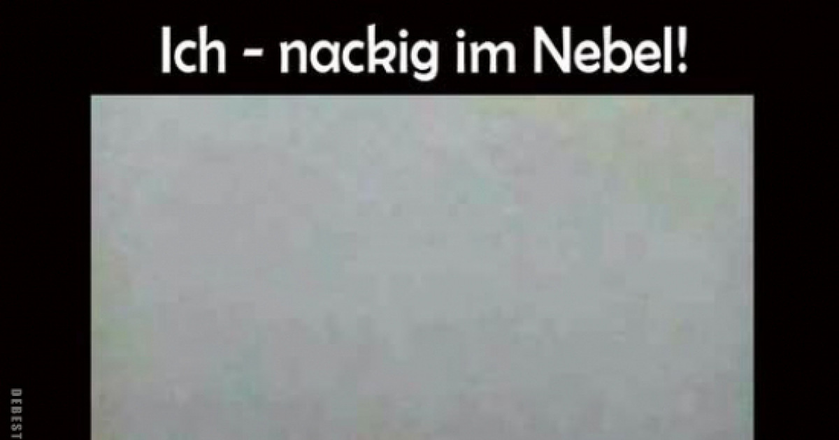 Neue Bilder und Memes - Nebel - lustig, kostenlos - DEBESTE.de