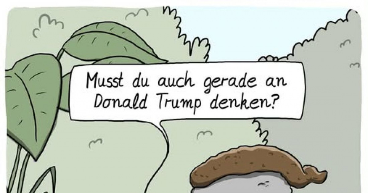 Neue Bilder und Memes - Donald Trump - lustig, kostenlos - DEBESTE.de