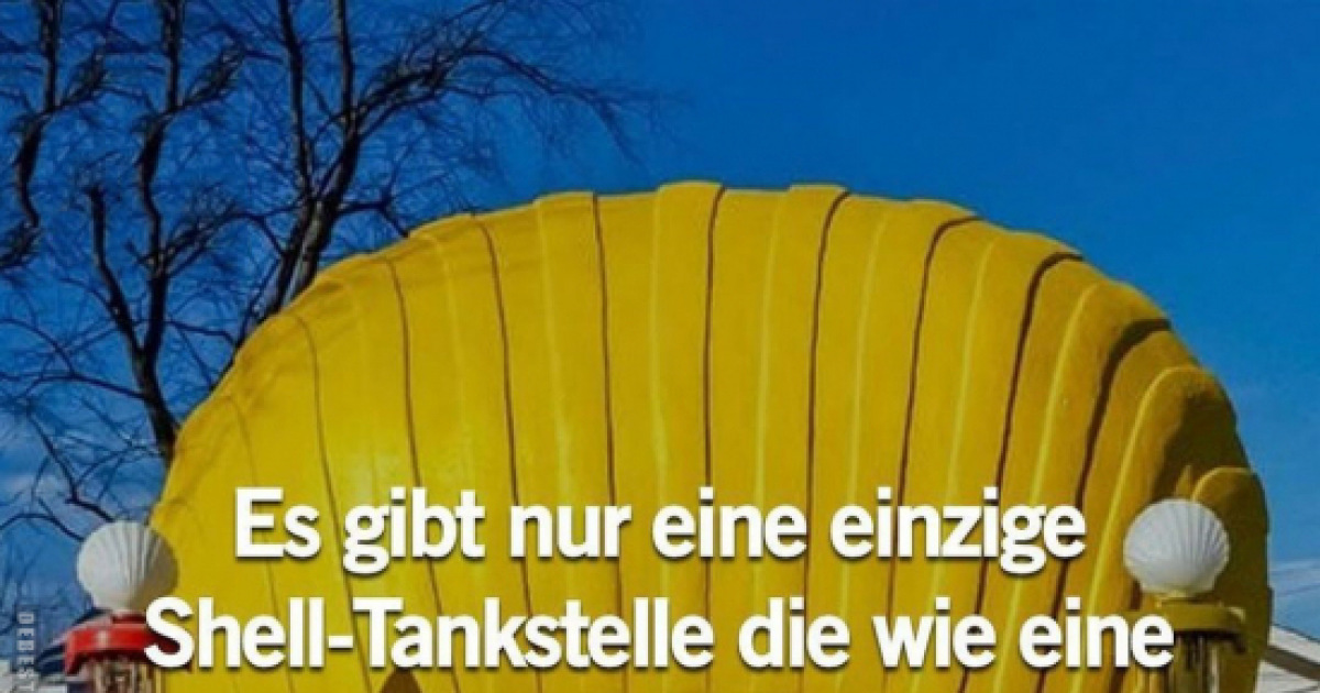 Neue Bilder und Memes - Shell - lustig, kostenlos - DEBESTE.de