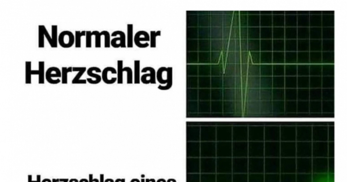 450 lustige Bilder Normal - Seite (20) - DEBESTE.de