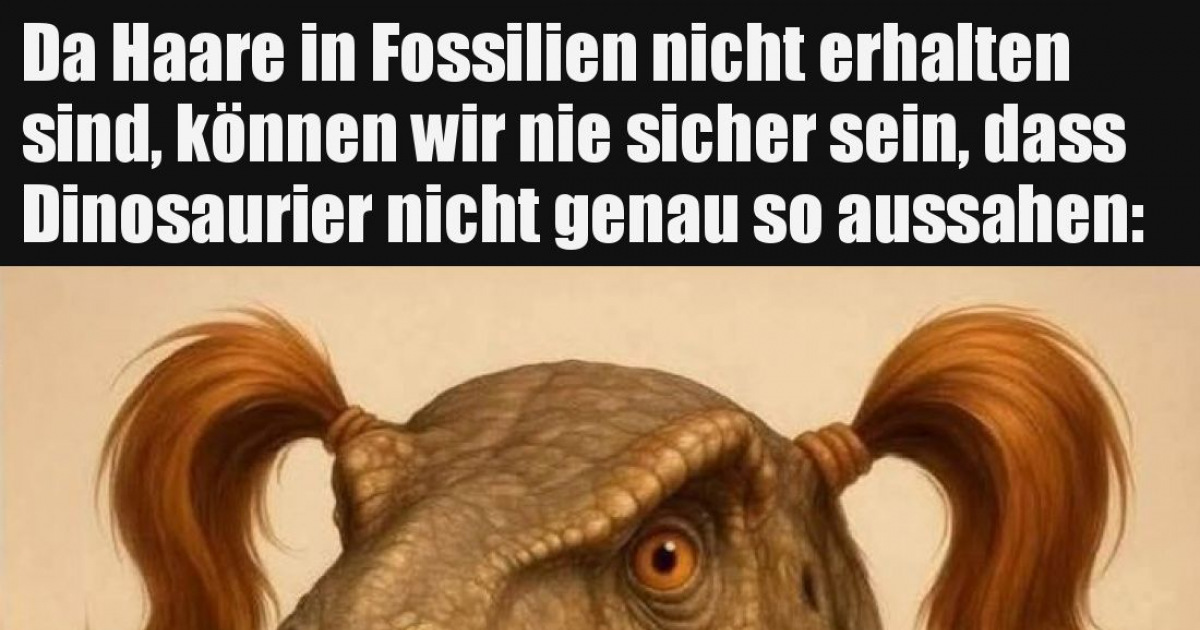 Neue Bilder und Memes - Ossi - lustig, kostenlos - DEBESTE.de