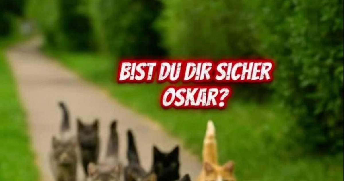Neue Bilder und Memes - Grube - lustig, kostenlos - DEBESTE.de