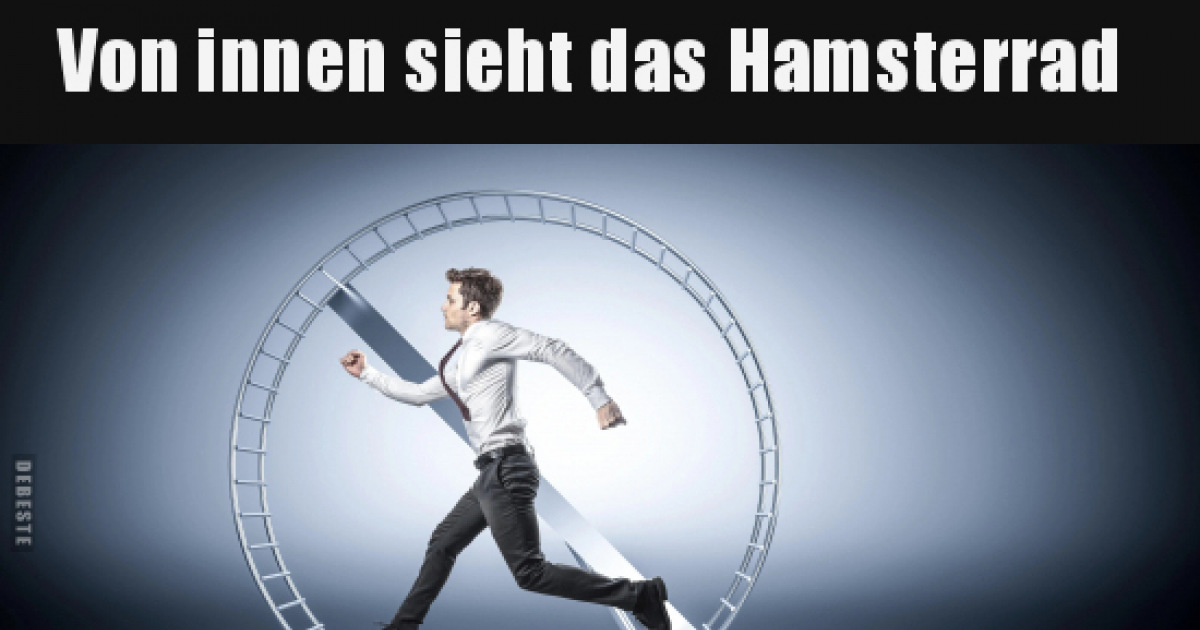 Neue Bilder und Memes - Hamsterrad - lustig, kostenlos - DEBESTE.de