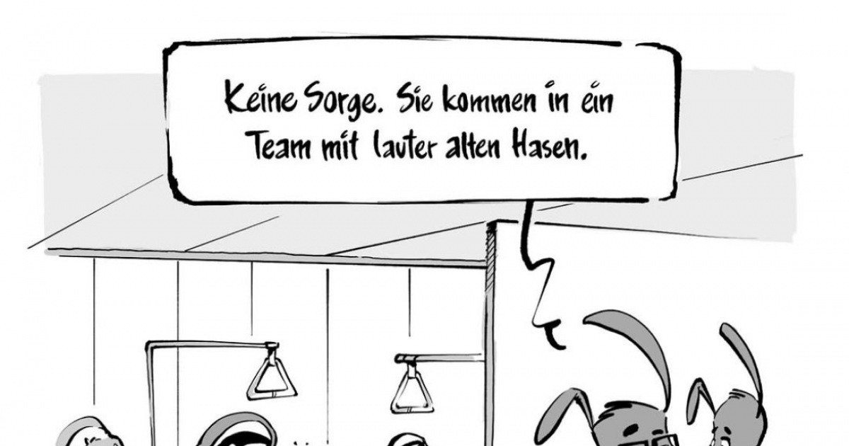 Neue Bilder und Memes - Hasen - lustig, kostenlos - DEBESTE.de