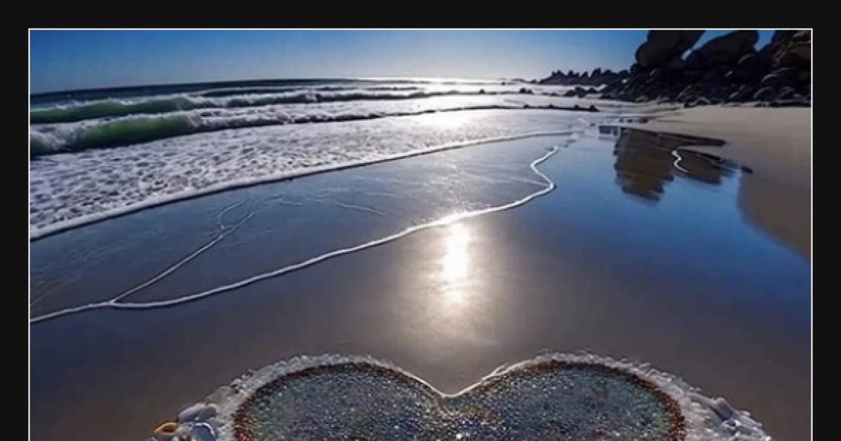 260 lustige Bilder Strand - Seite (29) - DEBESTE.de