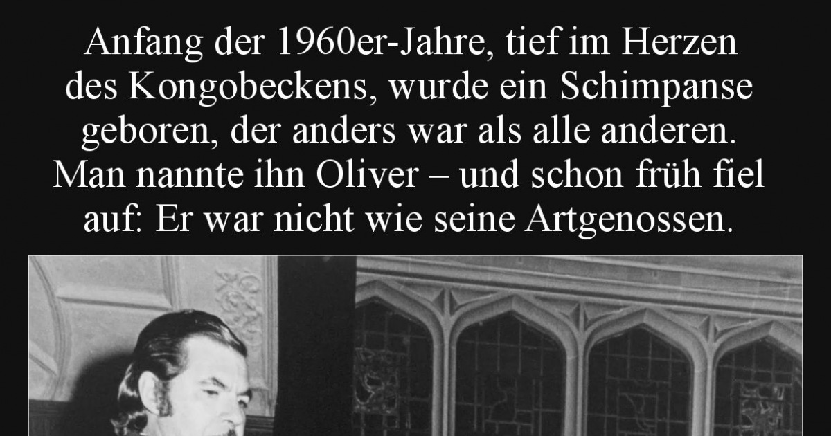 Neue Bilder und Memes - Prima - lustig, kostenlos - DEBESTE.de