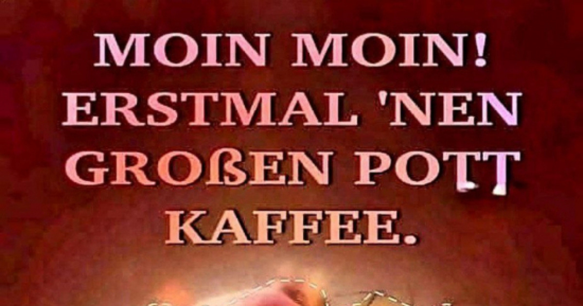 Neue Bilder und Memes - Moin Moin - lustig, kostenlos - DEBESTE.de