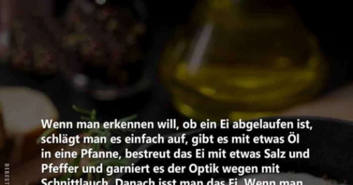 10 lustige Bilder Pfeffer - Seite (4) - DEBESTE.de