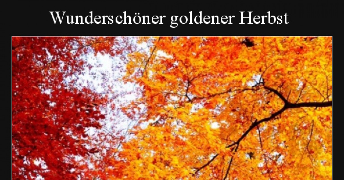 870 lustige Bilder Wunder - Seite (68) - DEBESTE.de