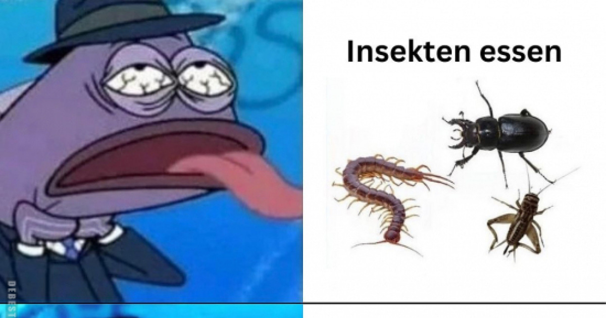 Neue Bilder und Memes - Insekten Essen - lustig, kostenlos - DEBESTE.de