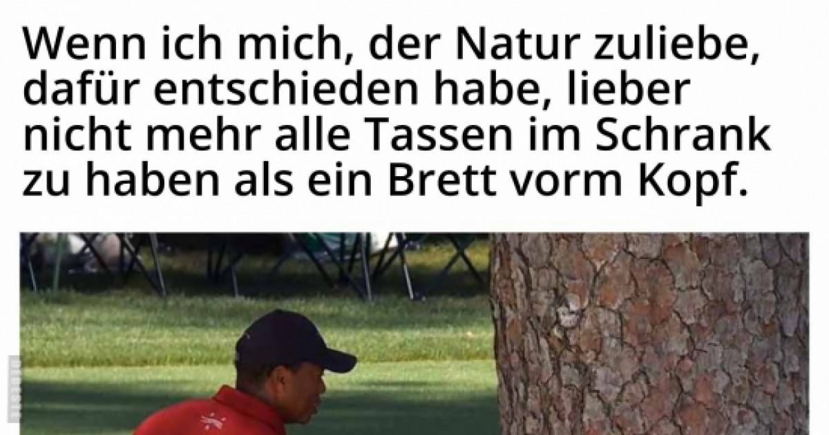 Neue Bilder und Memes - Brett Vorm Kopf - lustig, kostenlos - DEBESTE.de