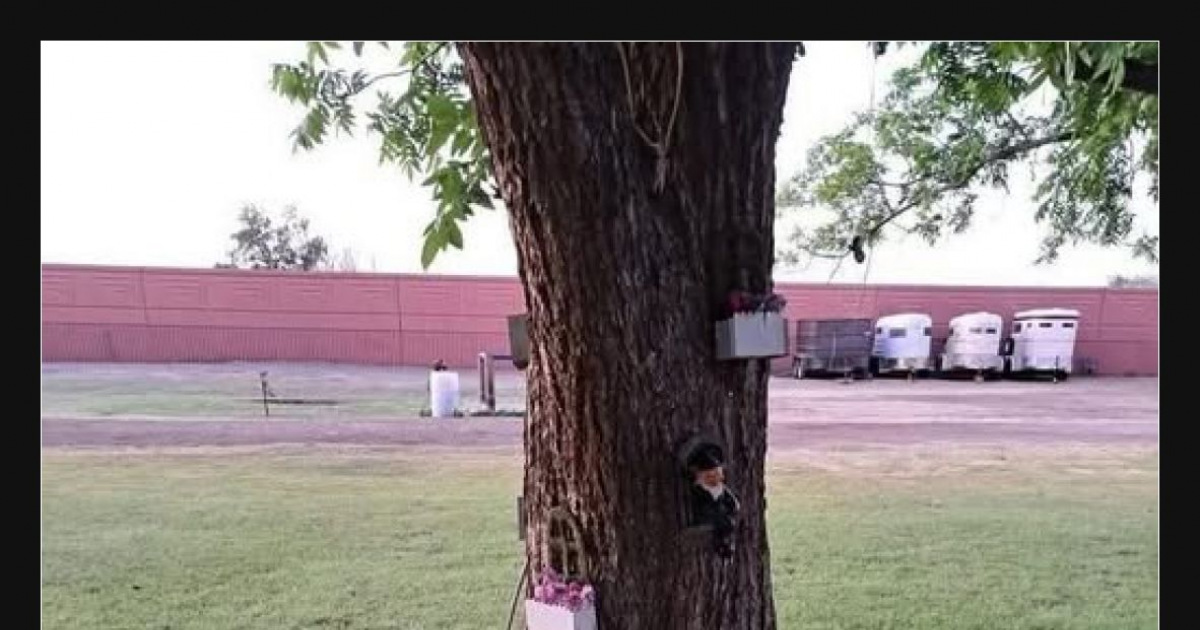 Neue Bilder und Memes - Feen - lustig, kostenlos - DEBESTE.de