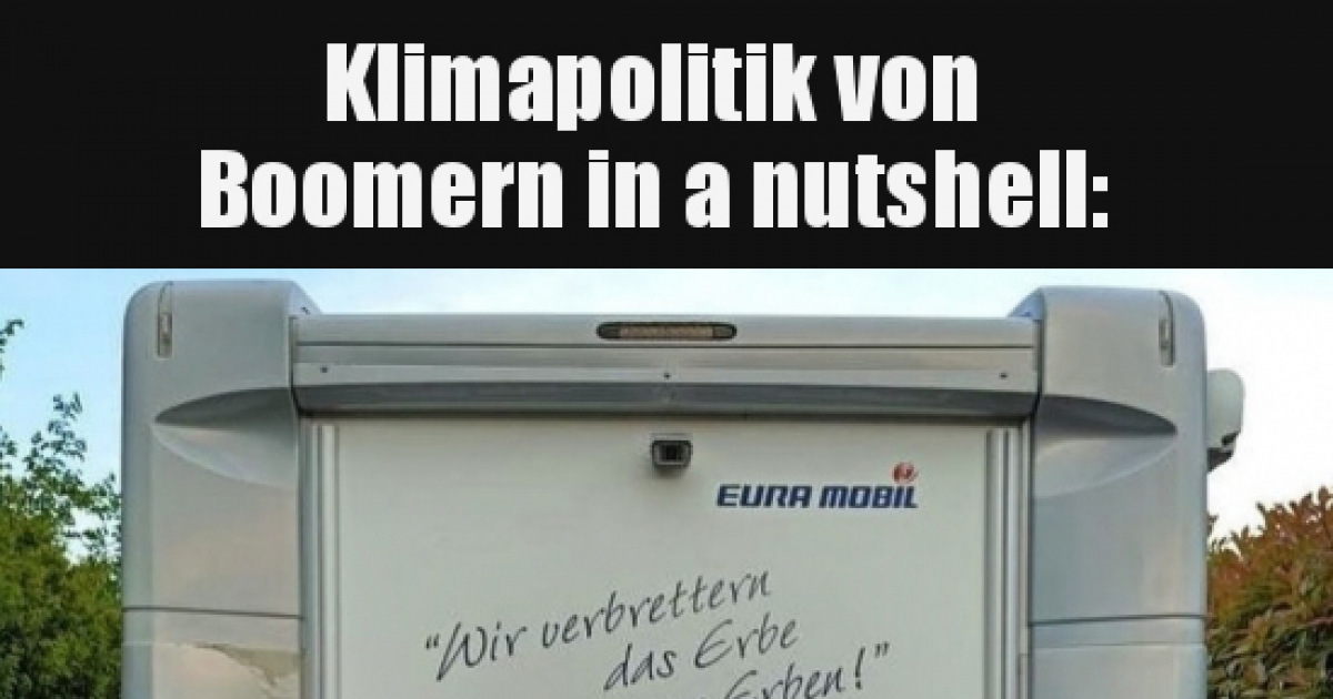 Neue Bilder und Memes - Pudel - lustig, kostenlos - DEBESTE.de