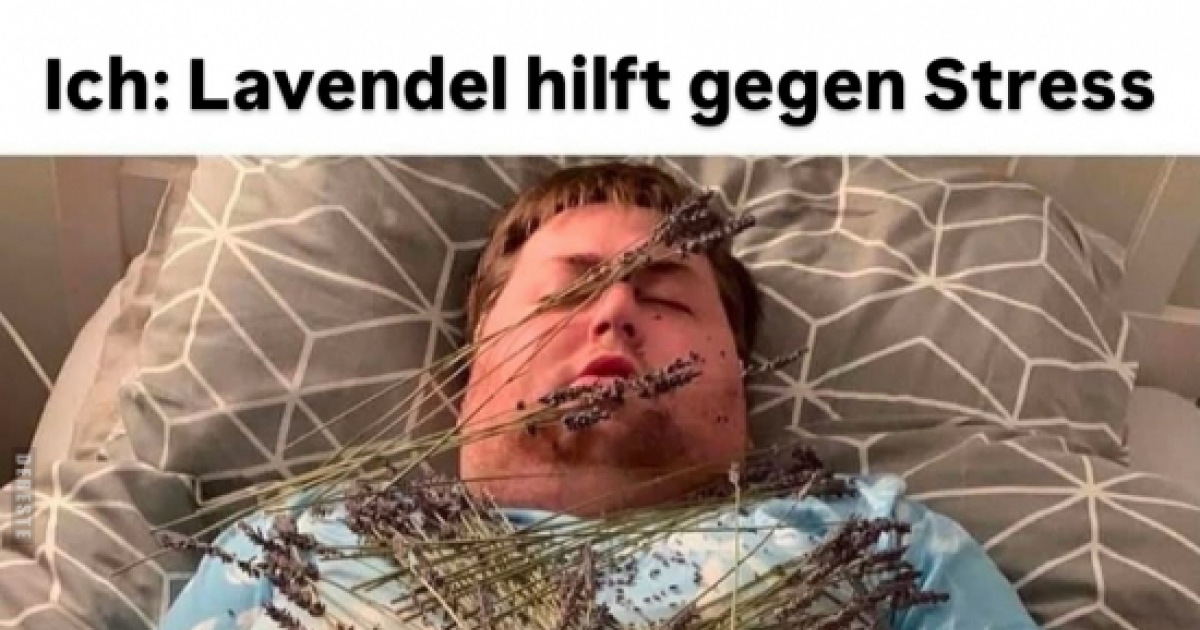 Neue Bilder und Memes - Gegen Stress - lustig, kostenlos - DEBESTE.de